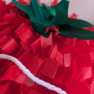 Cherry Tomato Pinata - Etsy