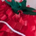 Cherry Tomato Pinata - Etsy