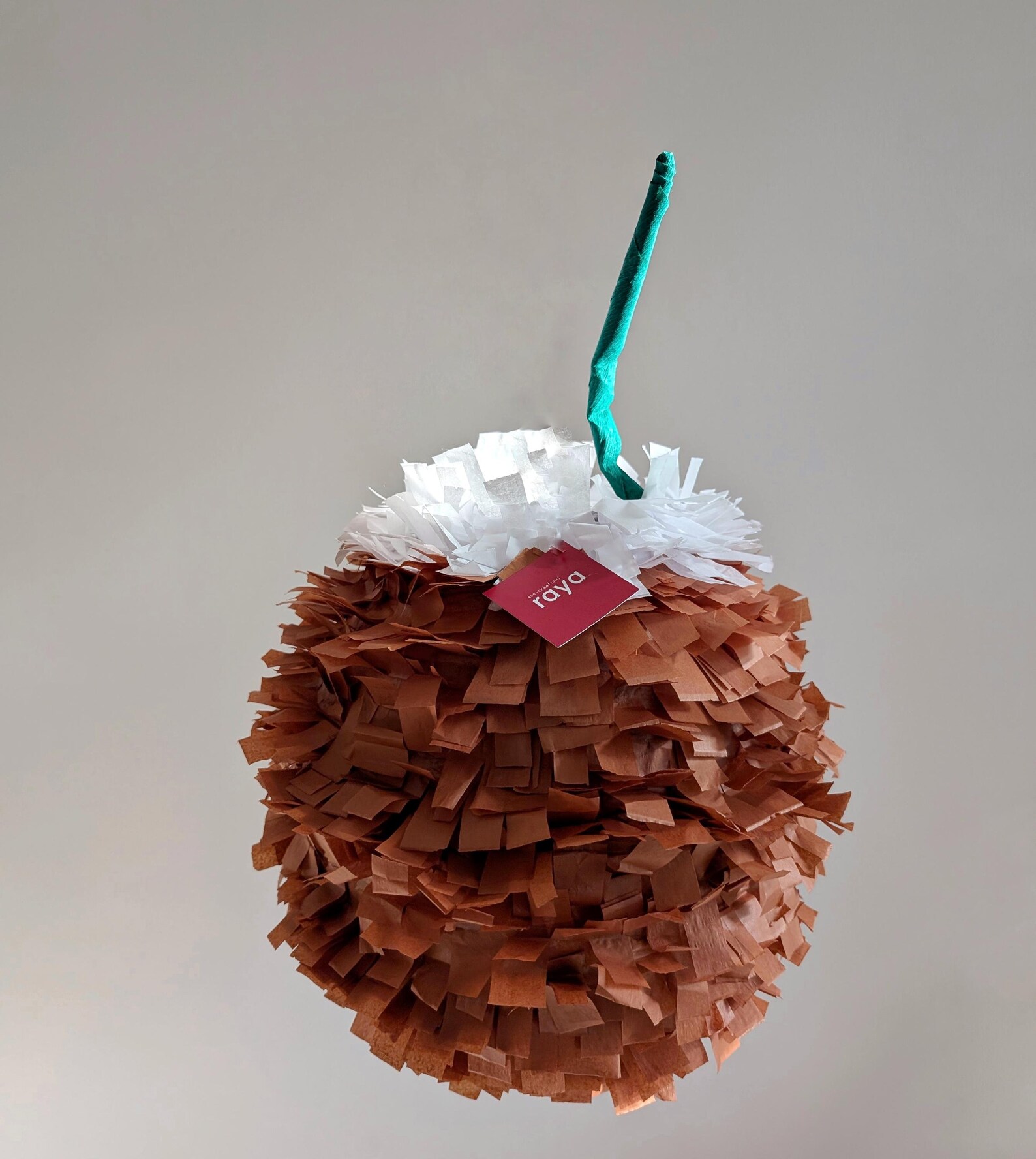 Coconut Pinata - Etsy