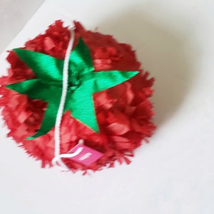 Cherry Tomato Pinata - Etsy