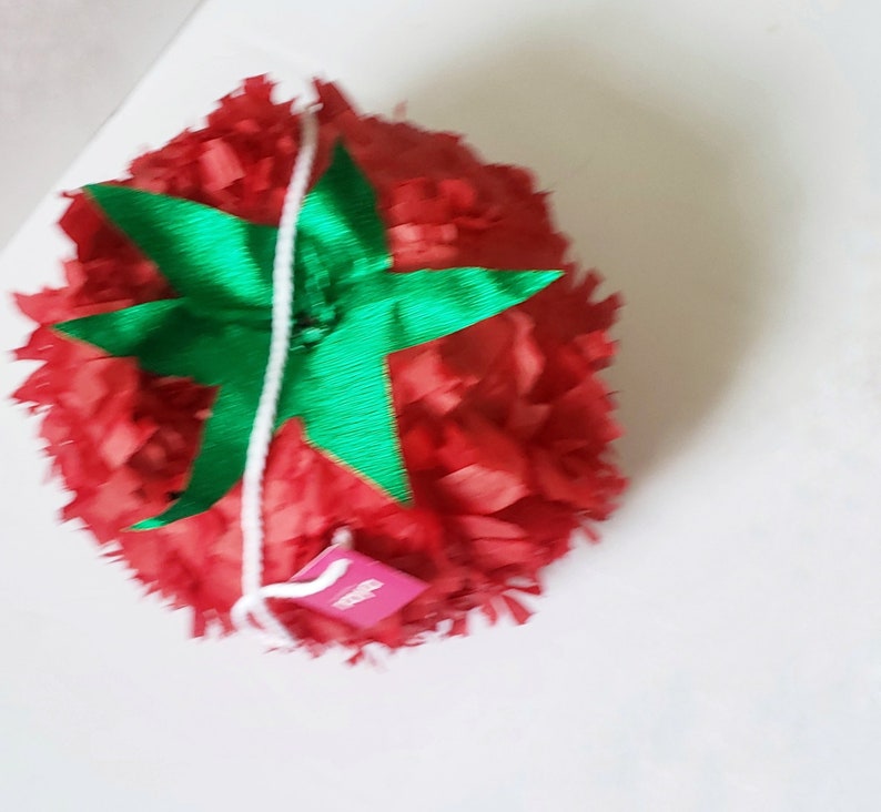 Cherry Tomato Pinata - Etsy