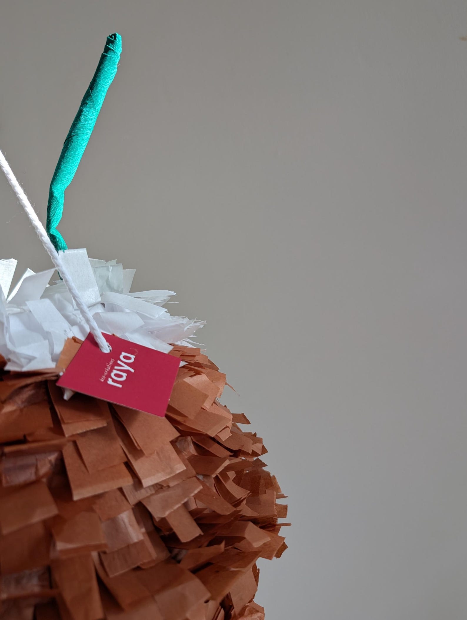 Coconut Piñata - Etsy
