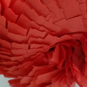 Cherry Tomato Pinata - Etsy