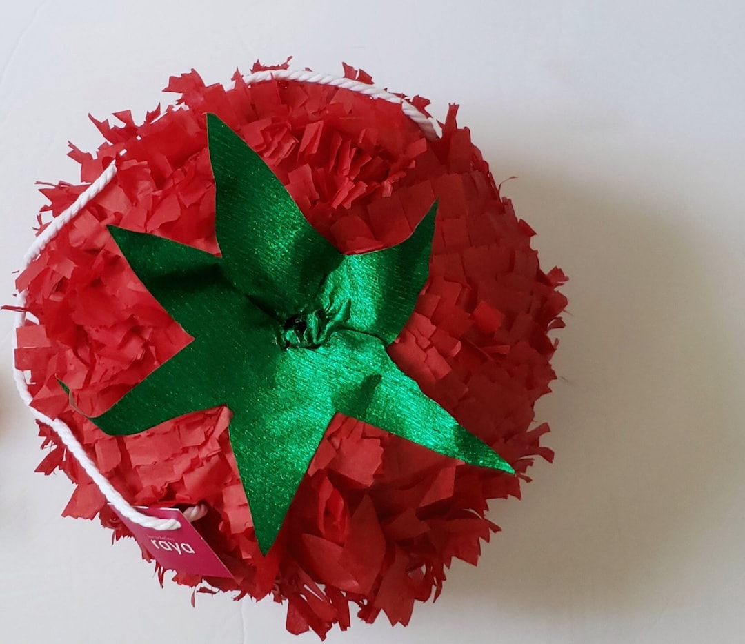 Cherry Tomato Pinata - Etsy