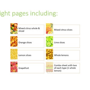 Citrus Fruits Paper Bead Template Bundle 7 Patterns and Instructions - Etsy