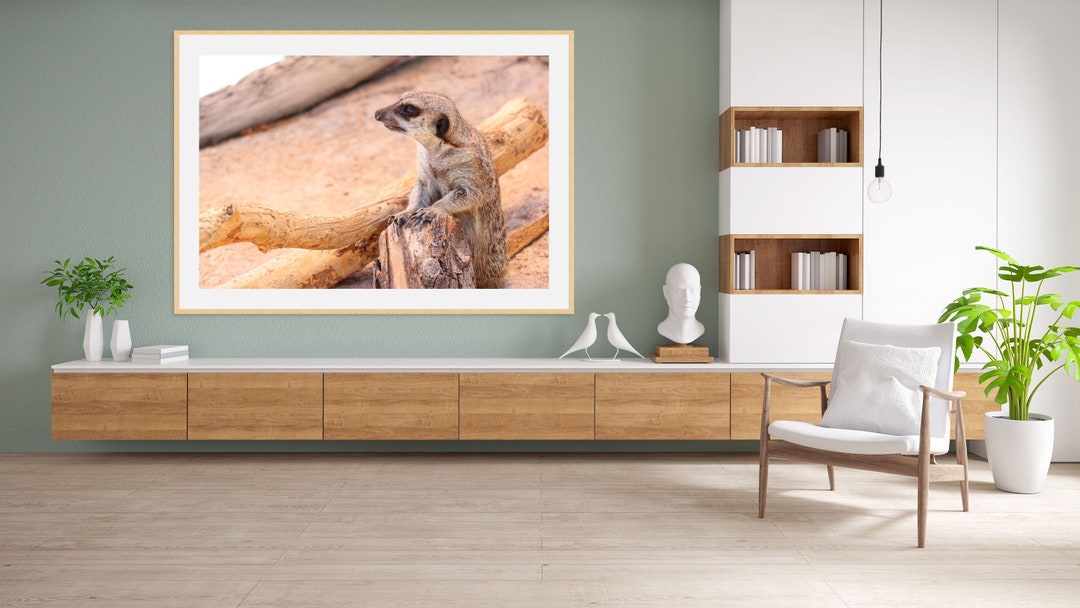 Meerkat Art | Meerkat Print | Safari Animals | Safari Wall Decor ...