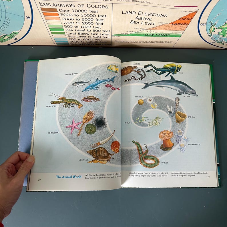 Jacques Cousteau Vintage Book - Ocean World, Volume 1 (1973) - Etsy