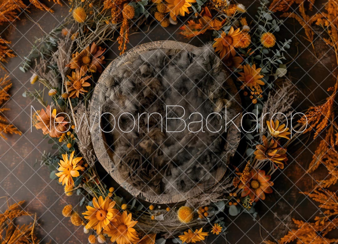 Sunflower Newborn Digital Backdrop, Fall Digital Backdrop, Newborn ...