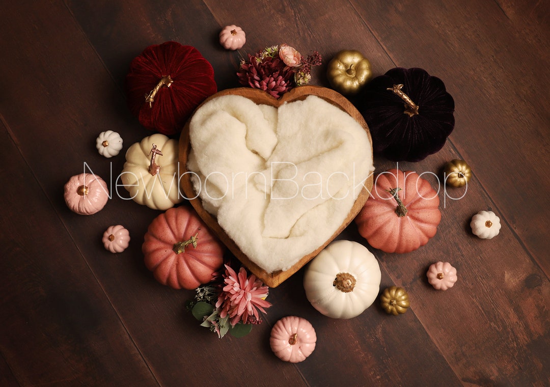 FALL NEWBORN DIGITAL Backdrop, Fall Newborn Digital Background, Autumn ...