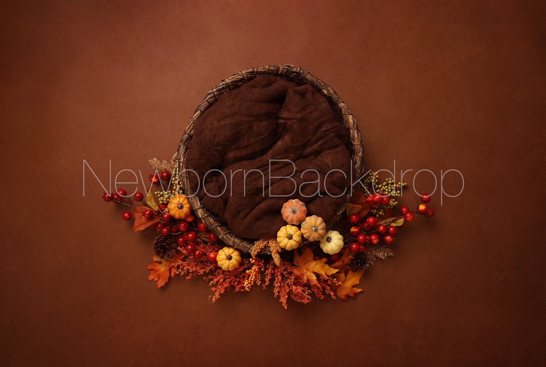 FALL NEWBORN Digital Backdrop, Newborn Composite, Newborn Photography ...