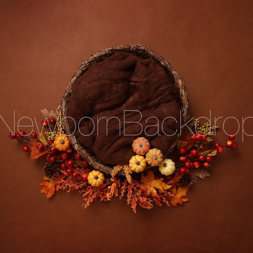 FALL NEWBORN Digital Backdrop Newborn Composite Newborn - Etsy