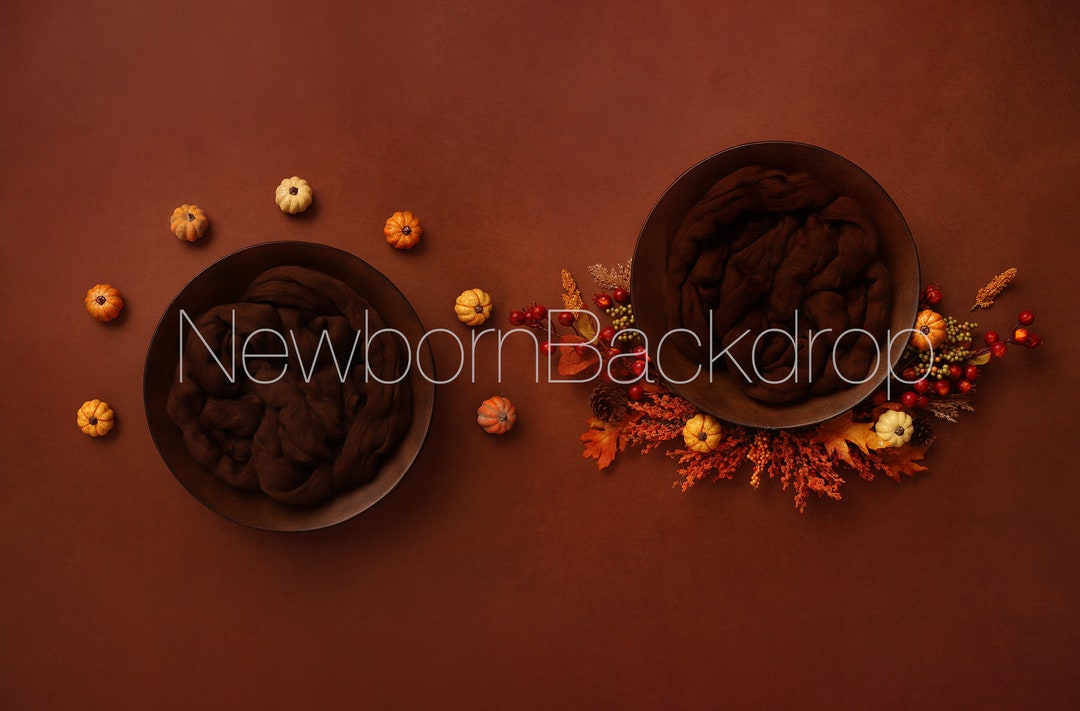 TWIN NEWBORN Digital Backdrop, Newborn Composite, Newborn Photography ...