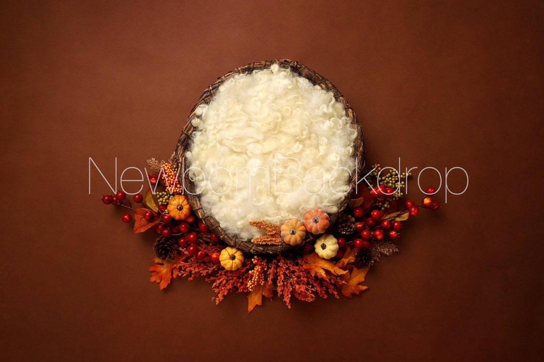 FALL NEWBORN DIGITAL Backdrop, Fall Newborn Digital Background, Autumn ...
