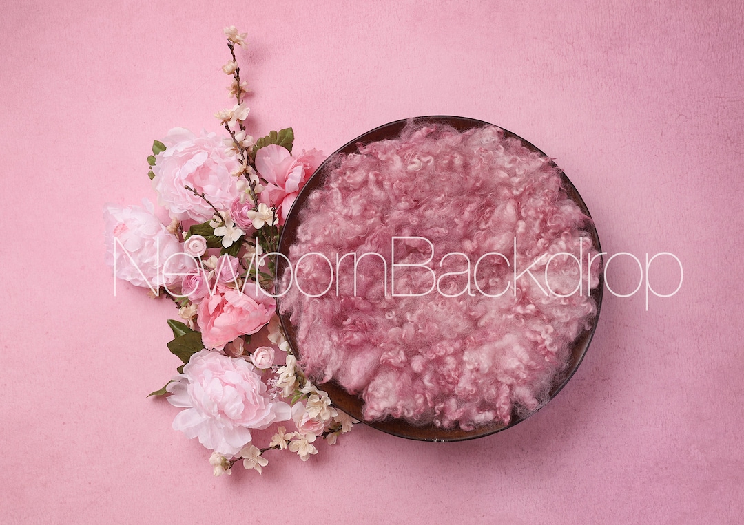 Newborn Digital Backdrop Girl Newborn Backdrop Newborn - Etsy
