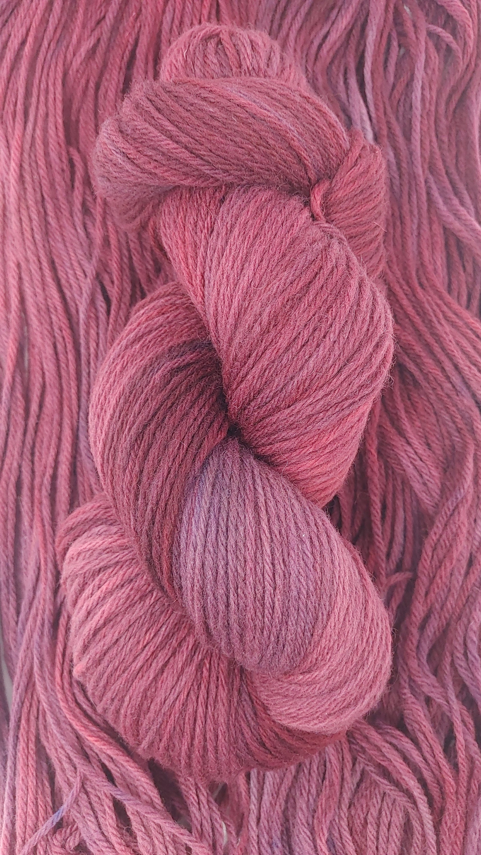 Burgundy Bouquet: Hand-dyed DK Weight 100% Wool Yarn, Rustic Tonal ...