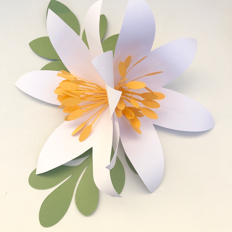 DIY Lily Paper Flower Template: Hand Cut PDF Pattern - Etsy
