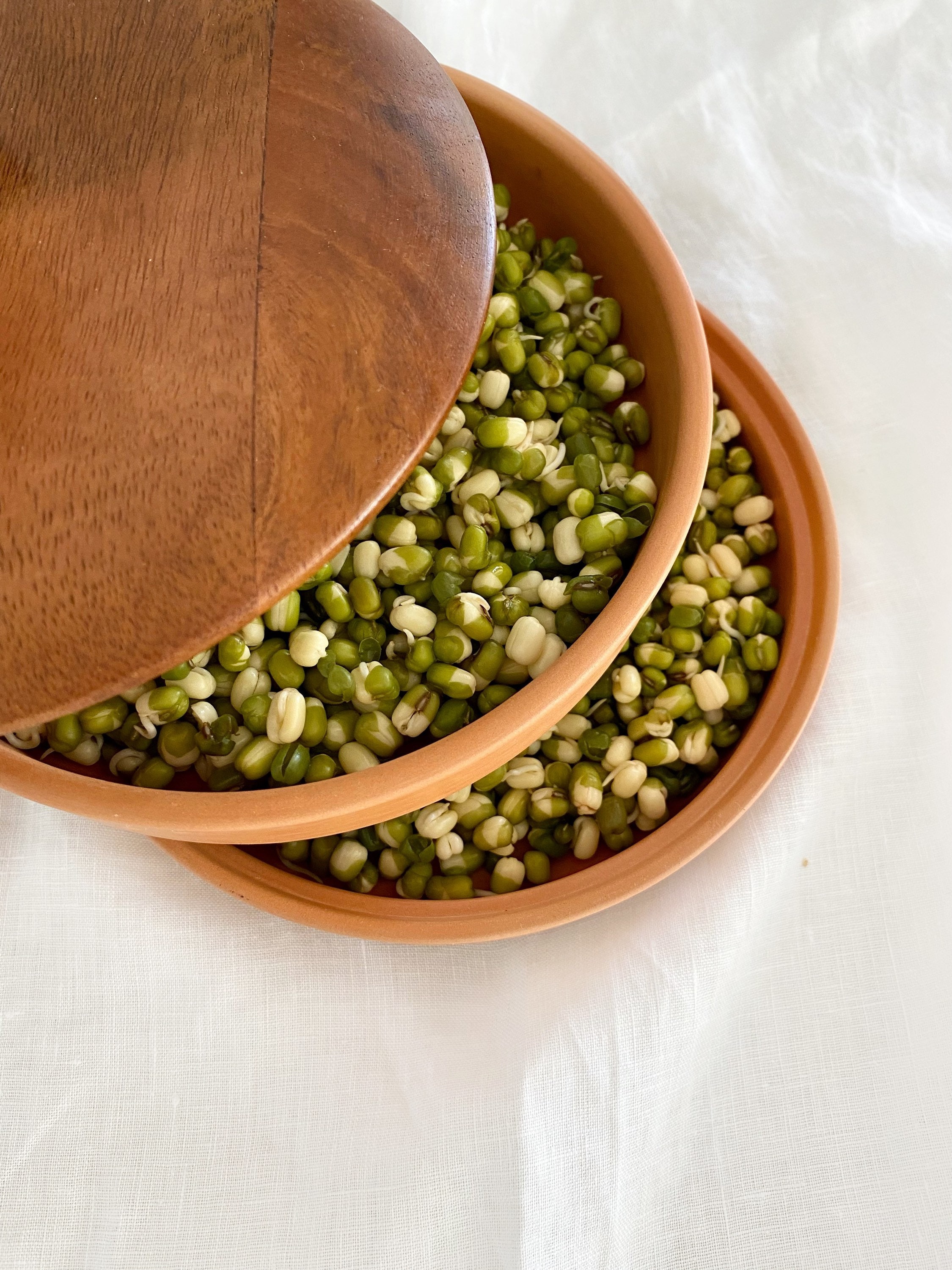 Terracotta Sprouter With Wooden Lid Sprout Making Sprouting - Etsy