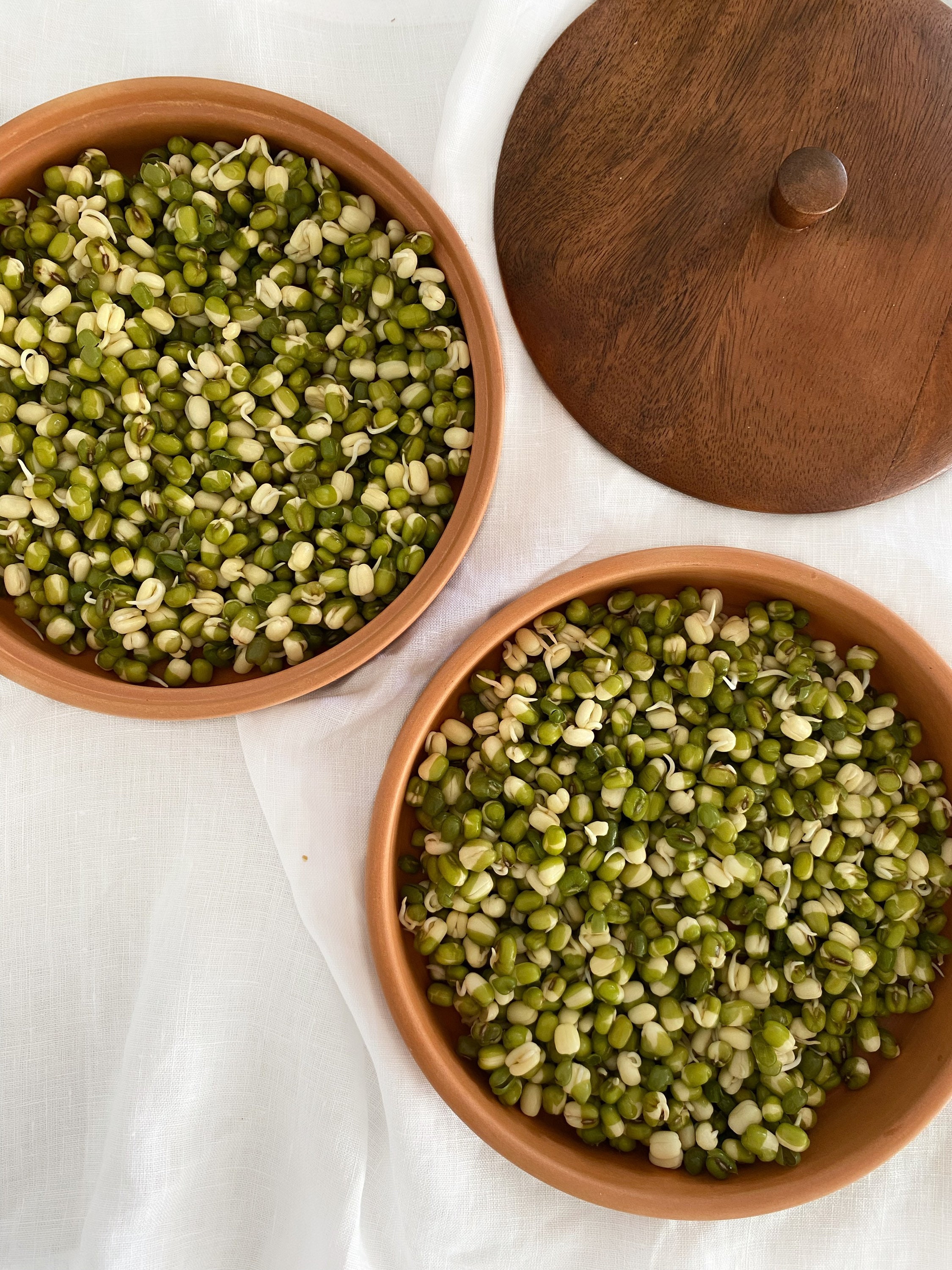 Terracotta Sprouter With Wooden Lid Sprout Making Sprouting - Etsy
