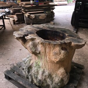 Tree Root Table Base - Etsy