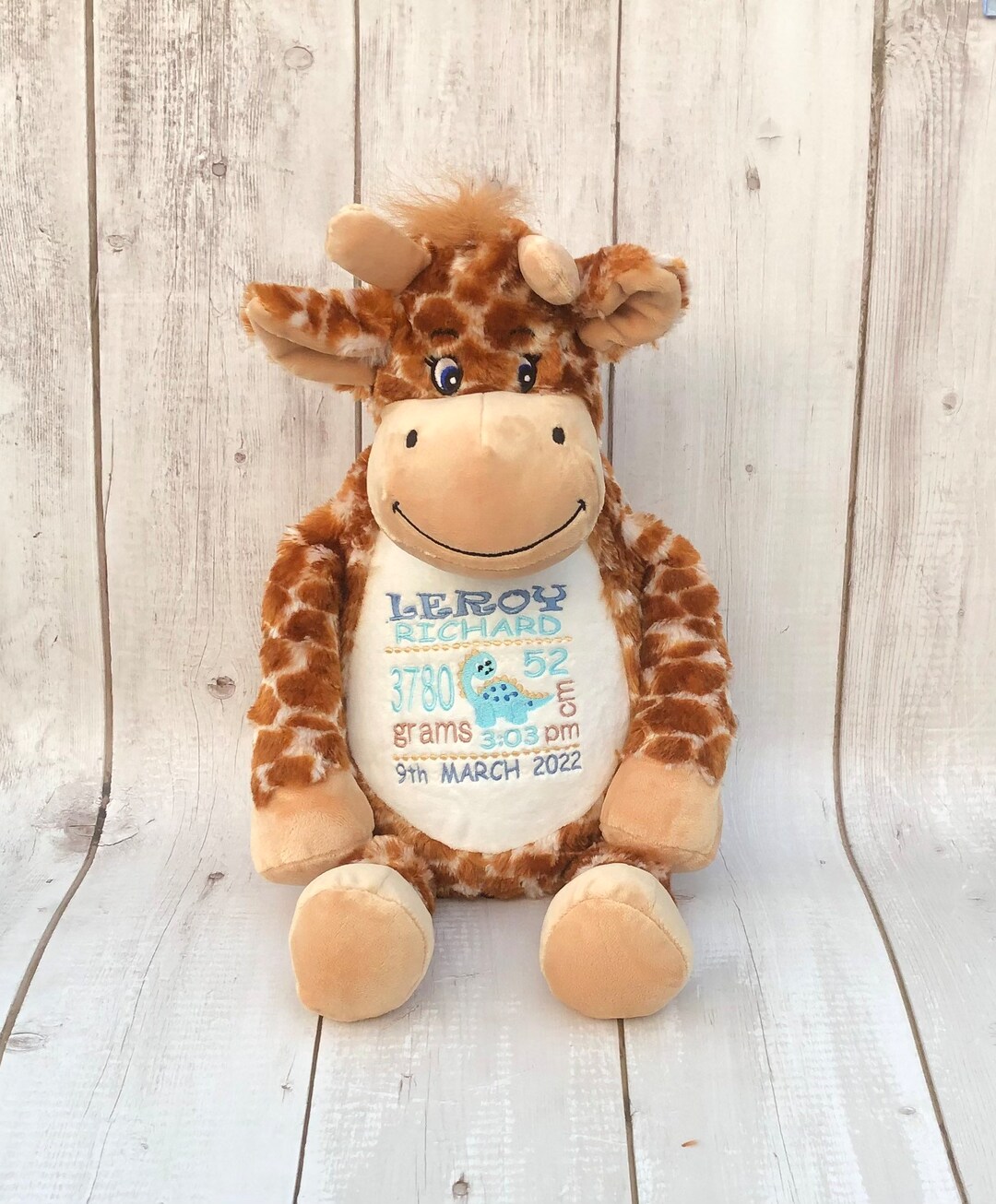 Personalised Teddy Bear, Embroidered Teddy Bear, Newborn Baby Gift ...