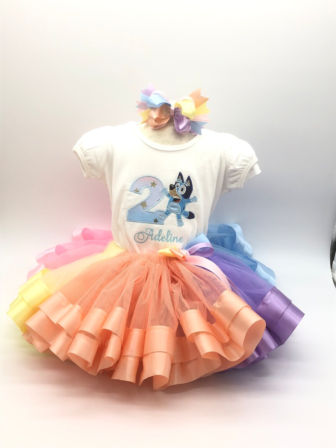 Customized Bluey-inspired 1st Birthday Tutu Outfit for Girls ...