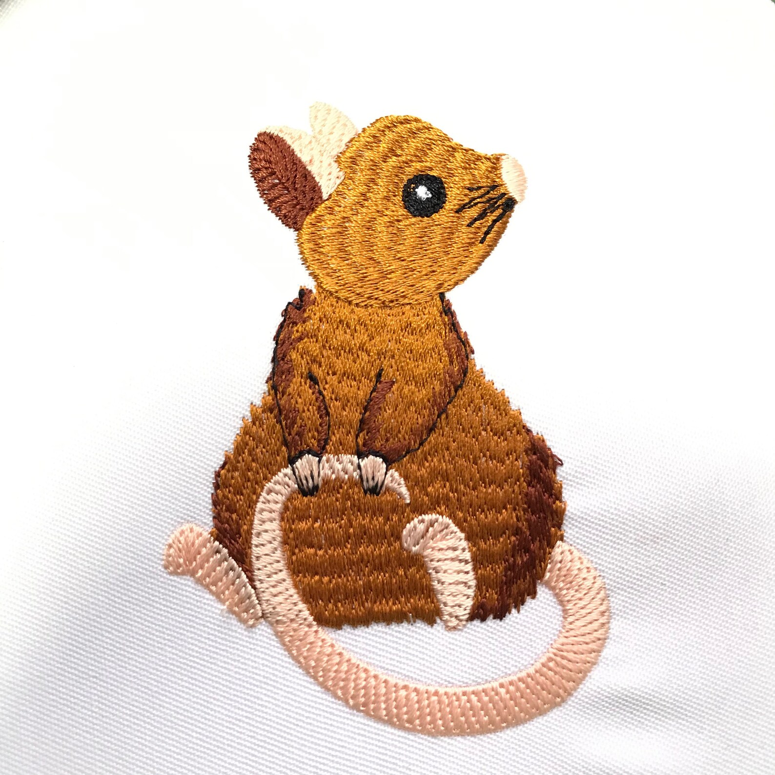 Rat mouse Machine Embroidery Design 5 Sizes / Dst Hus - Etsy