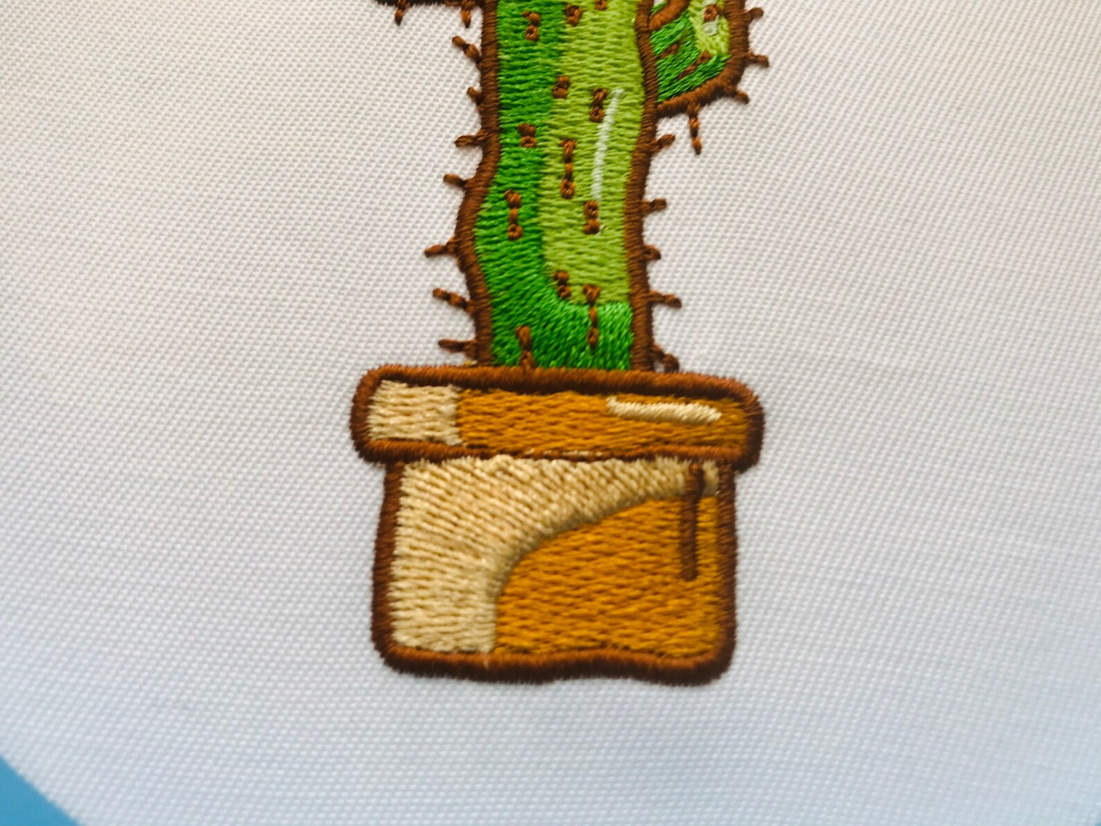 Cactus/succulent Machine Embroidery Design. Pes Dst Hus - Etsy