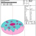 Donut Bright Machine Embroidery Design 6 Sizes Pes Hus - Etsy
