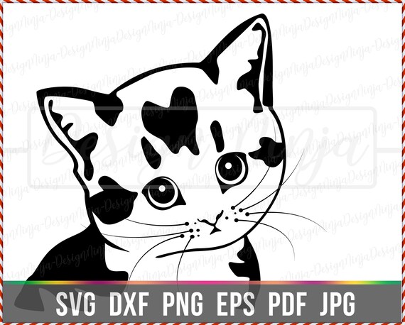 Cat 15 SVG Cute Baby Animal Cut File Download Kitten Print | Etsy