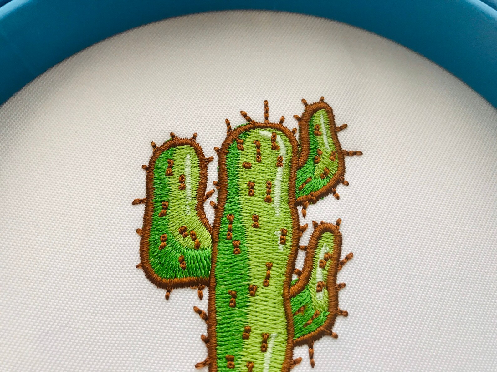 Cactus/succulent Machine Embroidery Design. Pes Dst Hus - Etsy