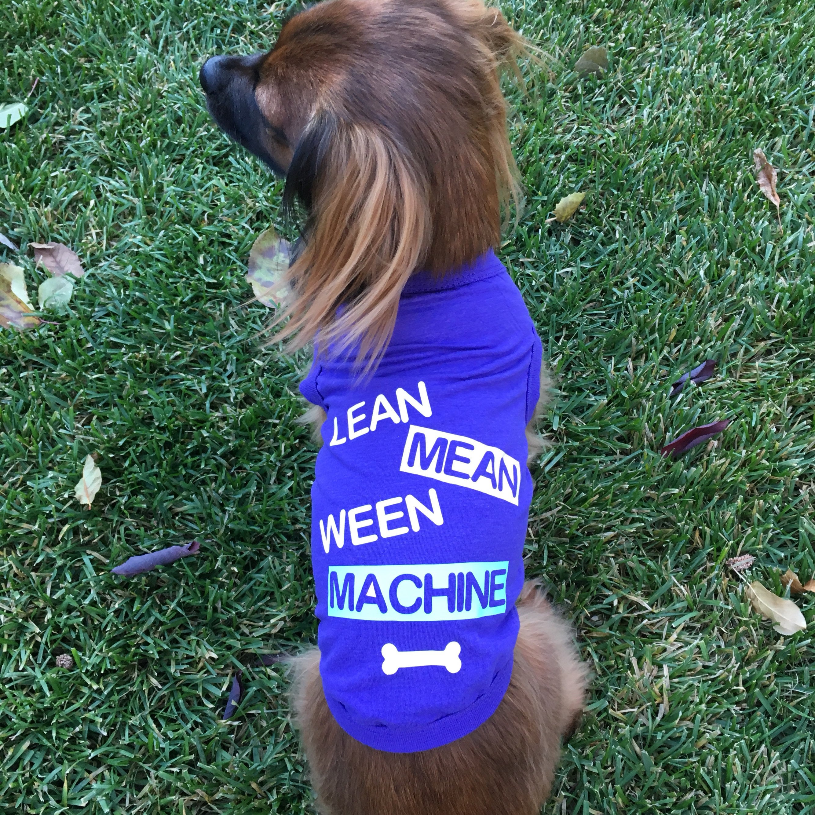 Lean Mean Ween Machine - Etsy