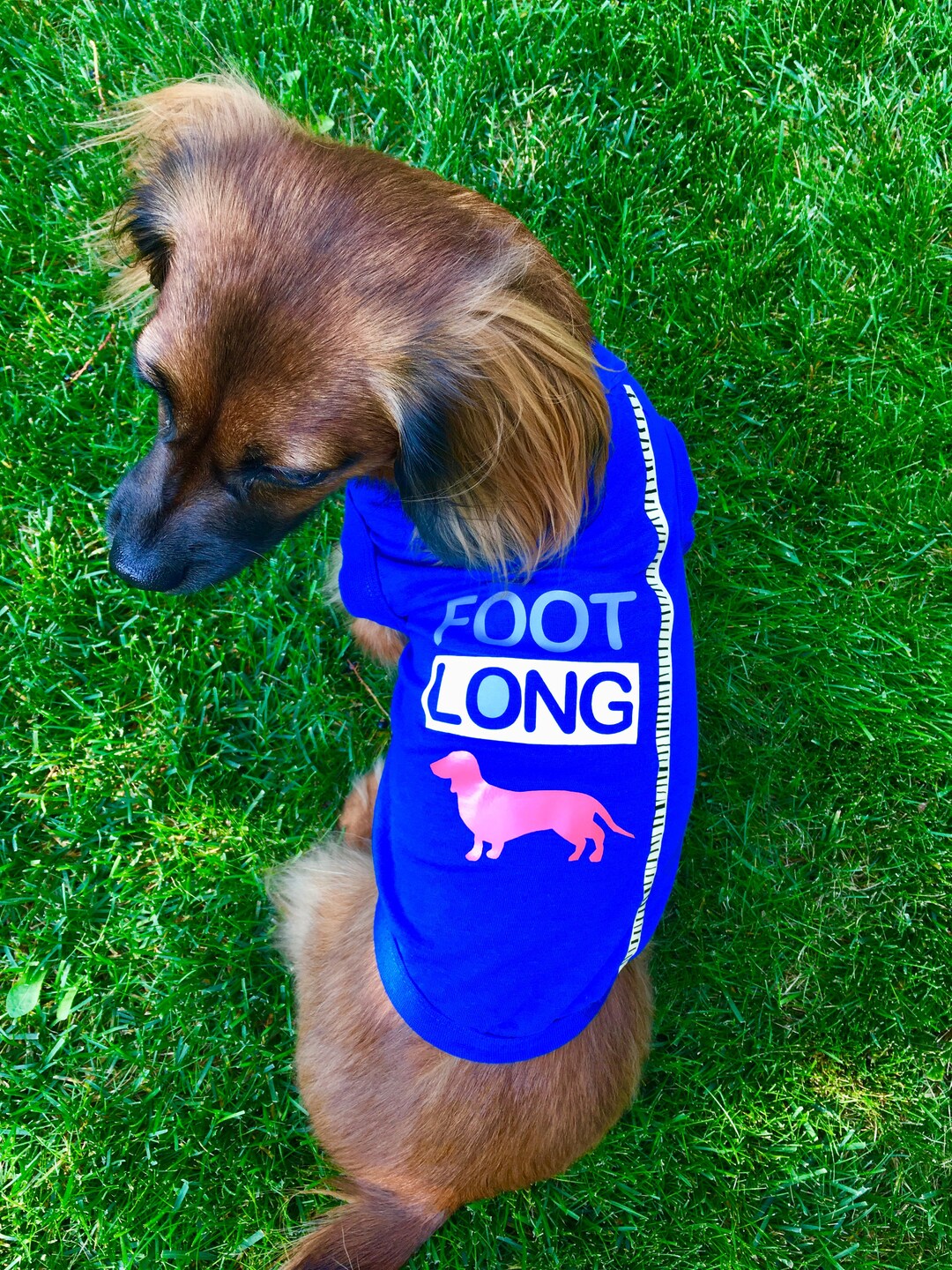 Foot Long Wiener - Etsy