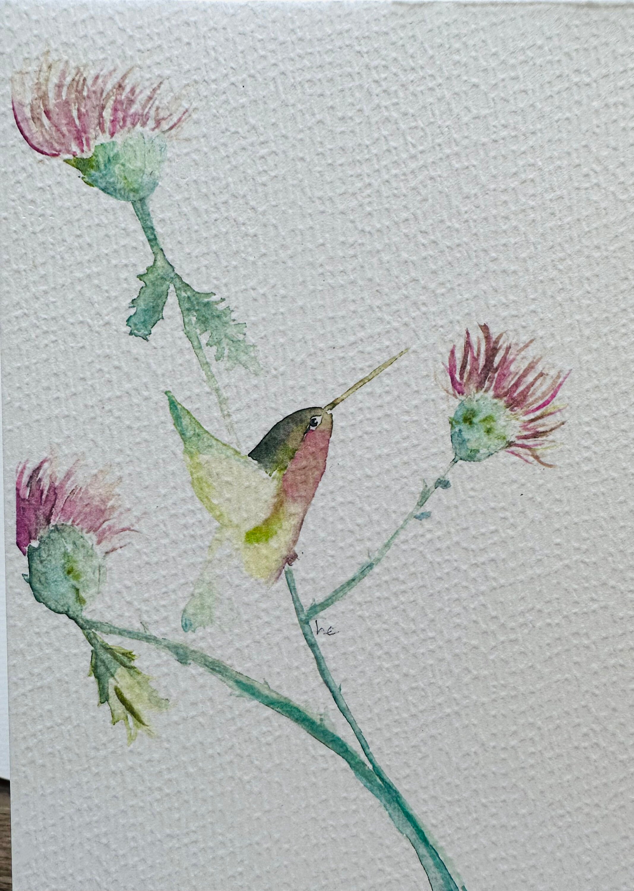Handpainted Watercolor Bird Card Set (4 Cards) - Etsy