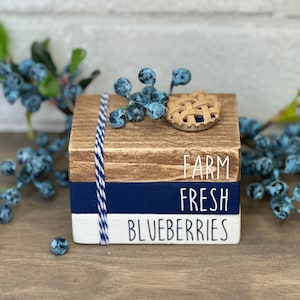 Blueberry Bookstack, Blueberry Decor, Mini Book Stack, Blueberry Tiered ...