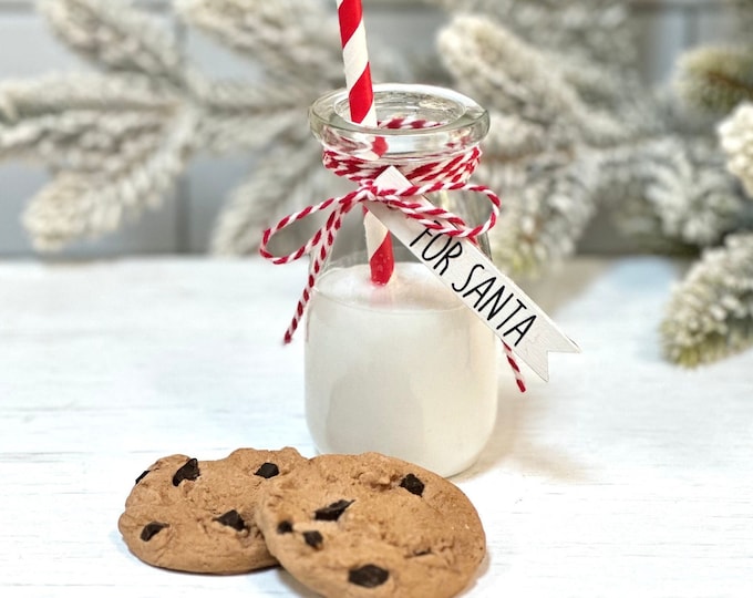 Fake Holiday Cookie & Cocoa Gingy Drink, Chocolate Fake Drink, Fake Hot ...