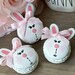 Easter Macaron, Bunny Macaron, Easter Bunny, Fake Easter Dessert ...