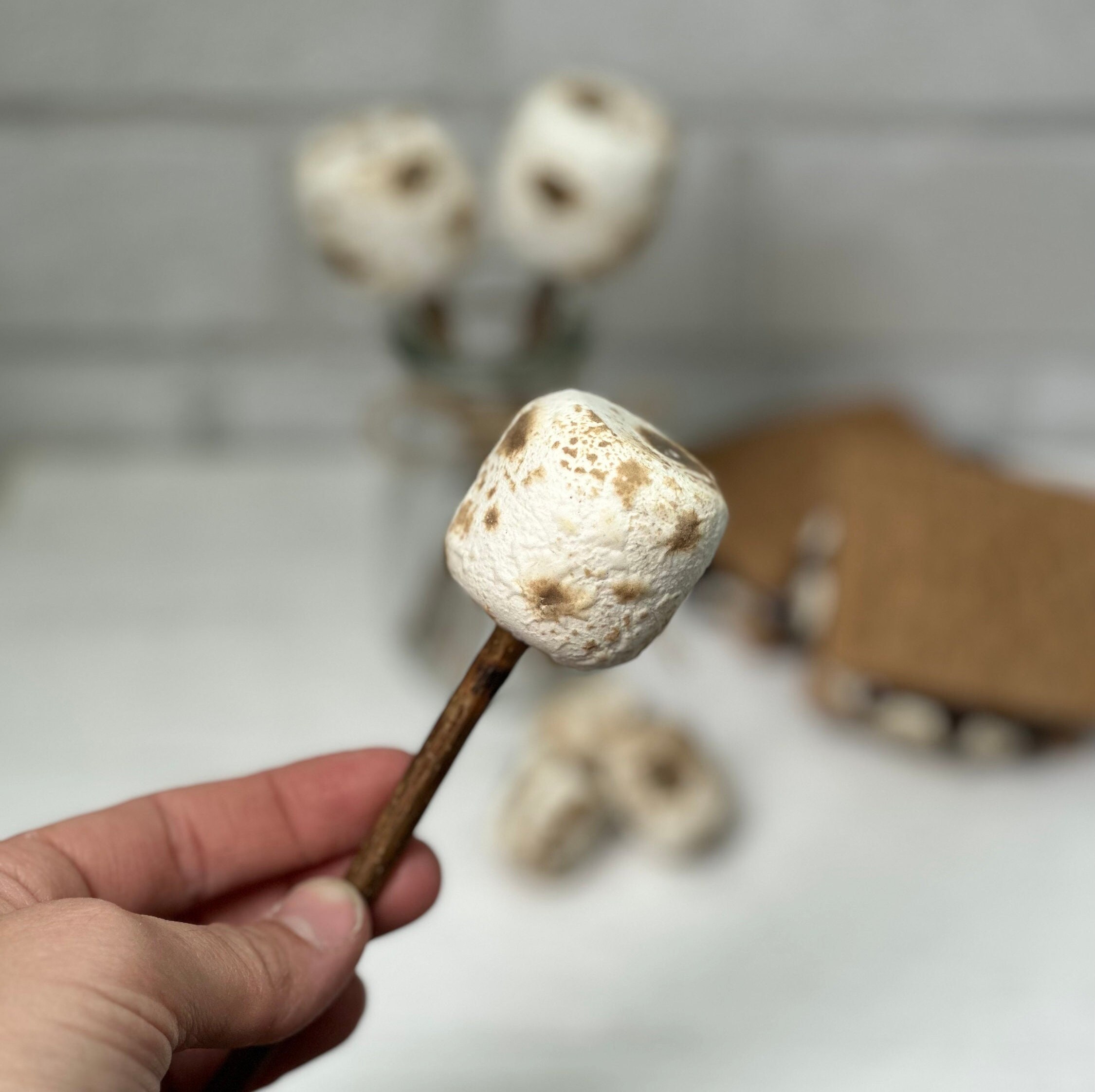 Toasted Marshmallows, Faux Roasted Marshmallow on A Stick, Fake ...