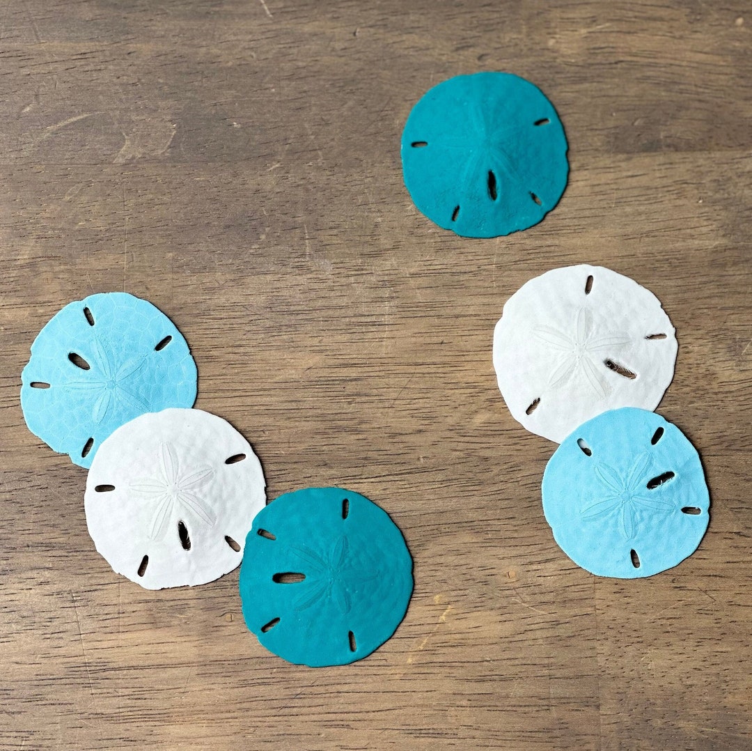 Mini Sand Dollars for Beach Coastal Decor, Small Sand Dollars for Trays ...