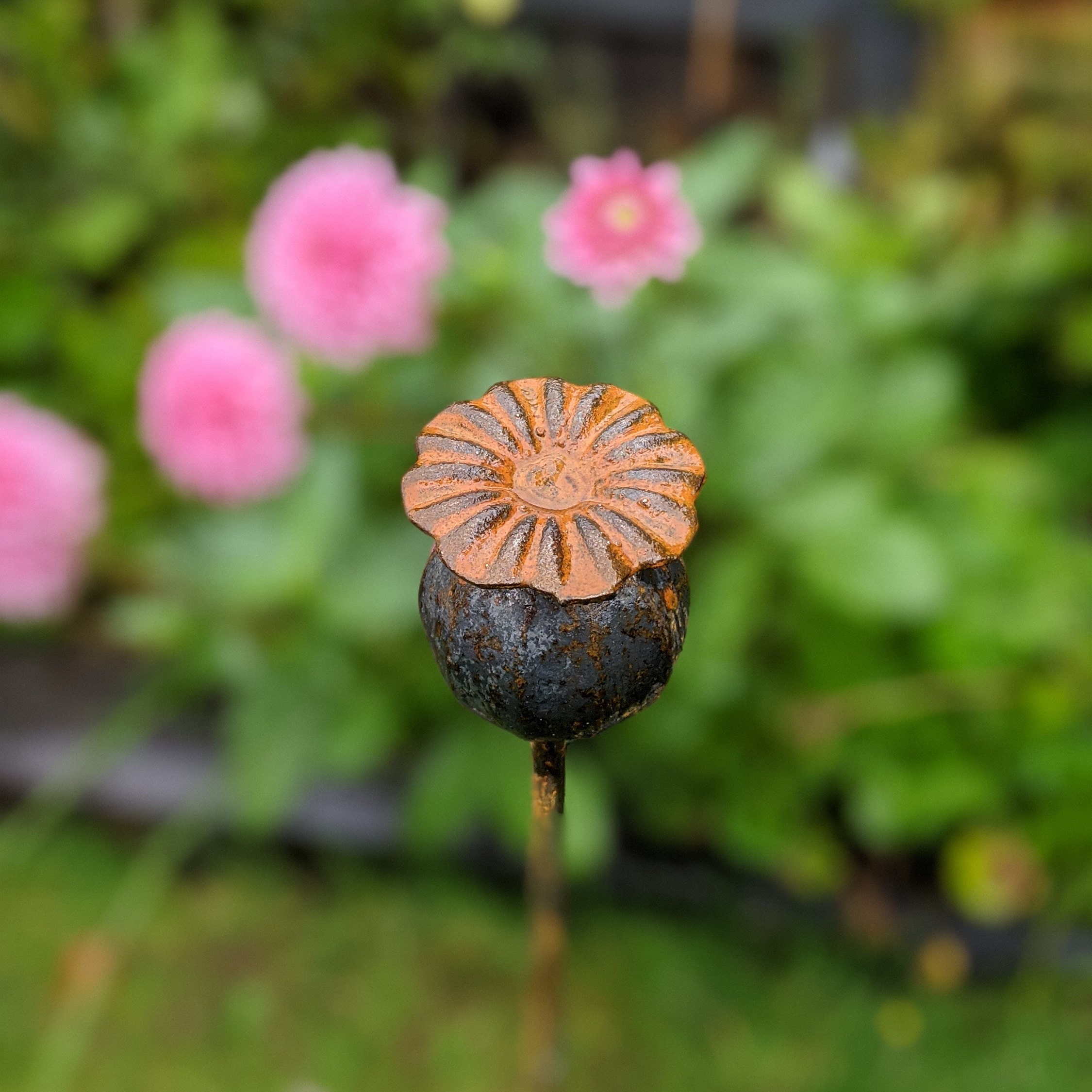 Metal Poppy Seedhead Sculpture Rusty Garden Ornament Metal - Etsy