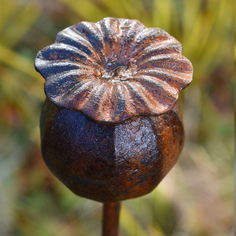 Metal Poppy Seedhead Sculpture Rusty Garden Ornament Metal - Etsy
