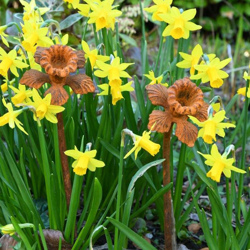 Metal Daffodil Sculpture - Etsy UK