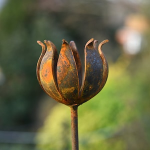 Rusty Metal Garden Flower Garden Sculpture Rustic Garden Art Rusty ...