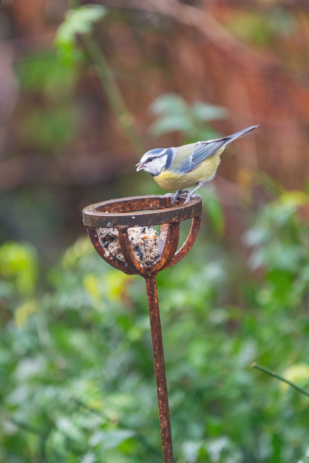 Rusty Fat Ball Feeder Stake: Handmade Garden Art - Etsy