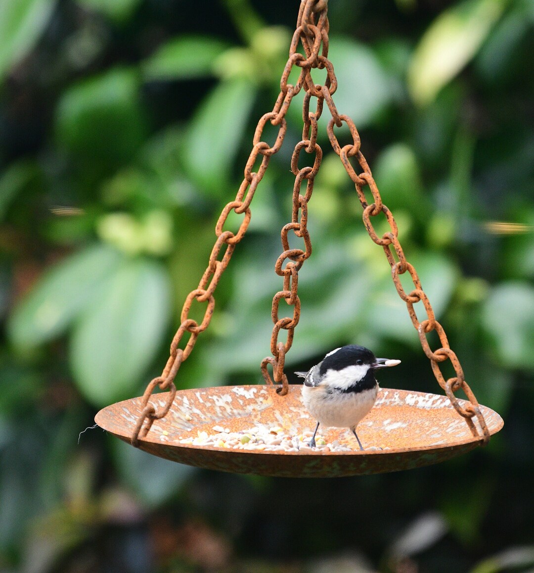 Hanging Chain Bird Feeder - Etsy