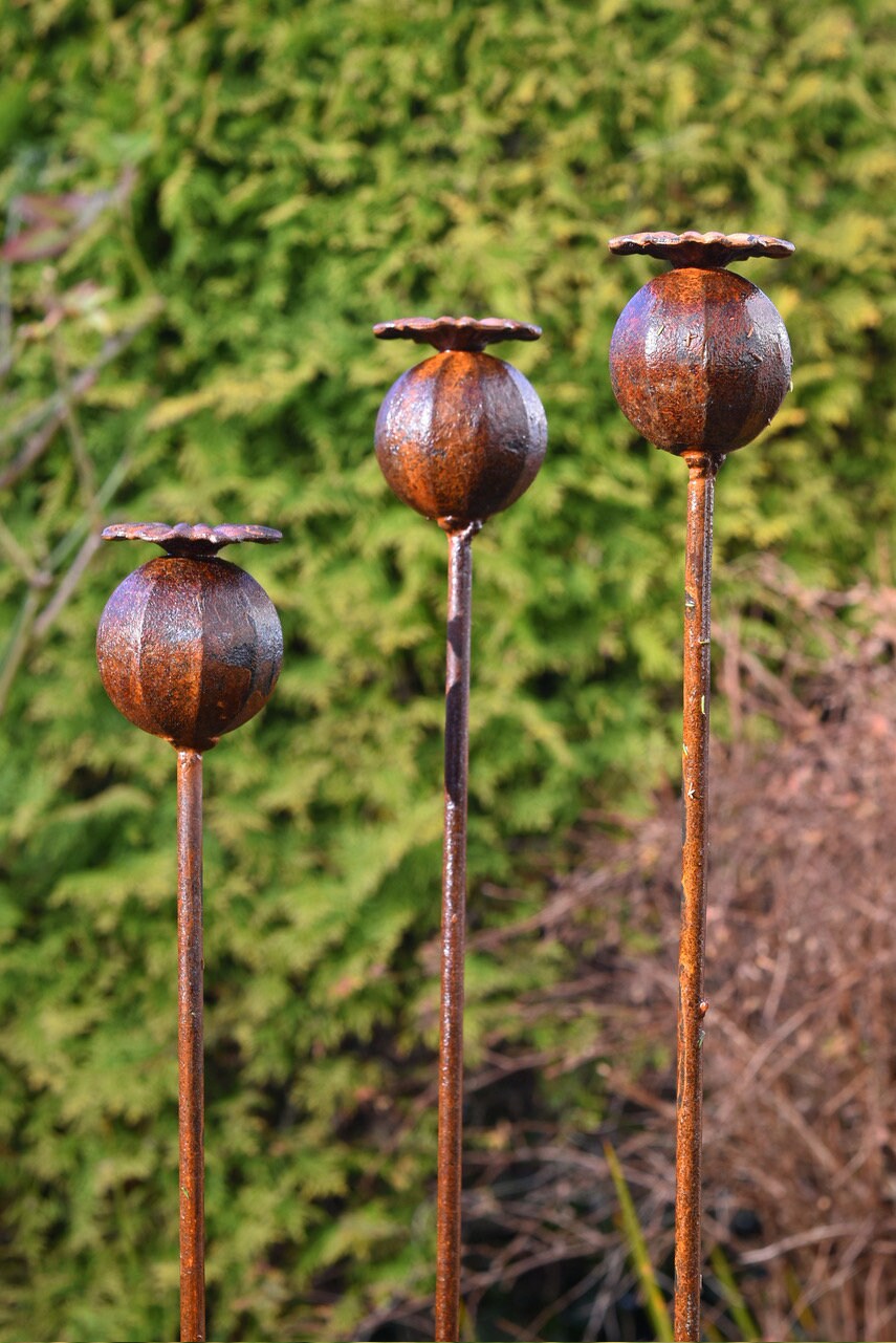 Metal Poppy Seedhead Sculpture Rusty Garden Ornament Metal - Etsy