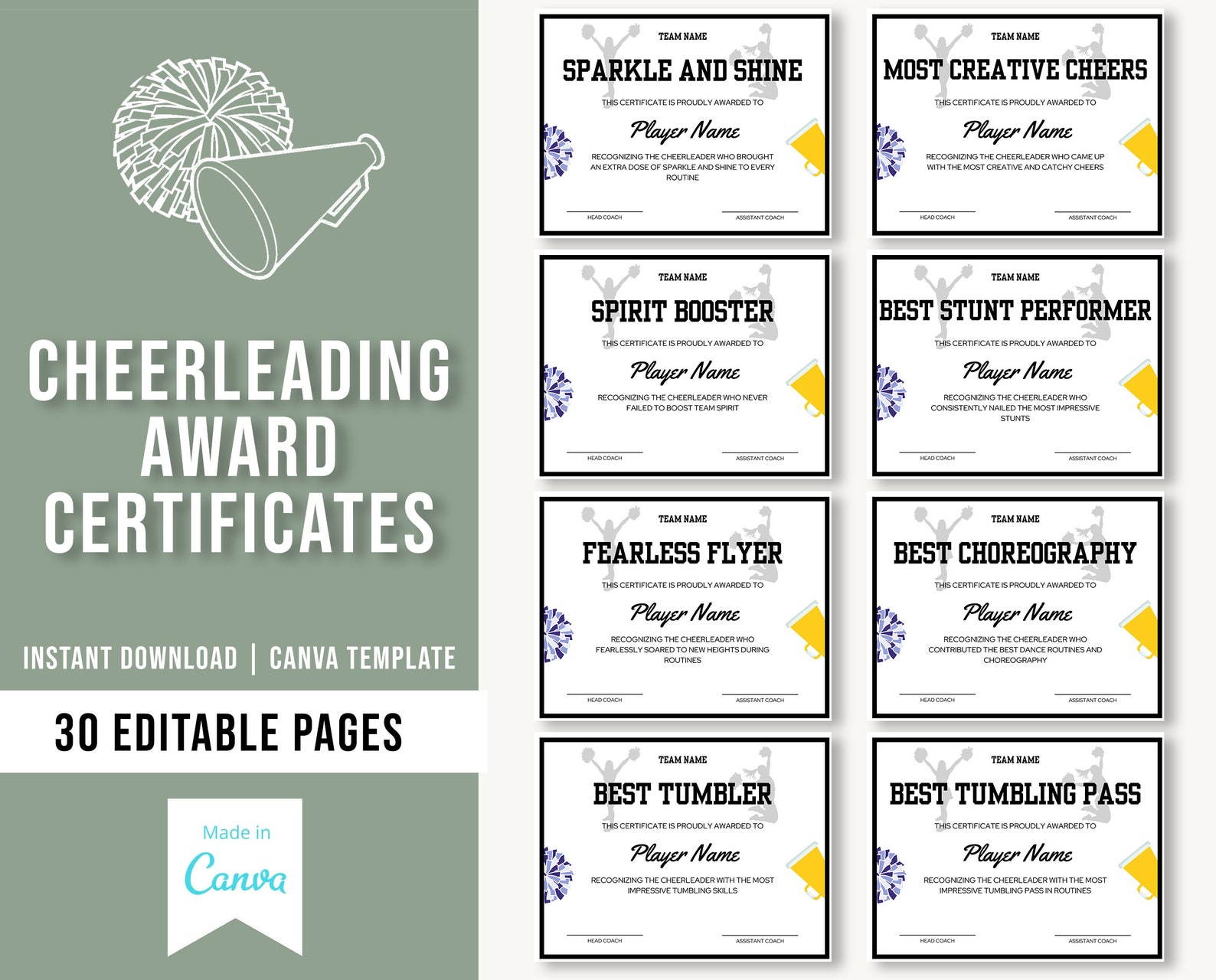 Editable Cheerleading Award Certificates | Cheerleading Team Awards ...