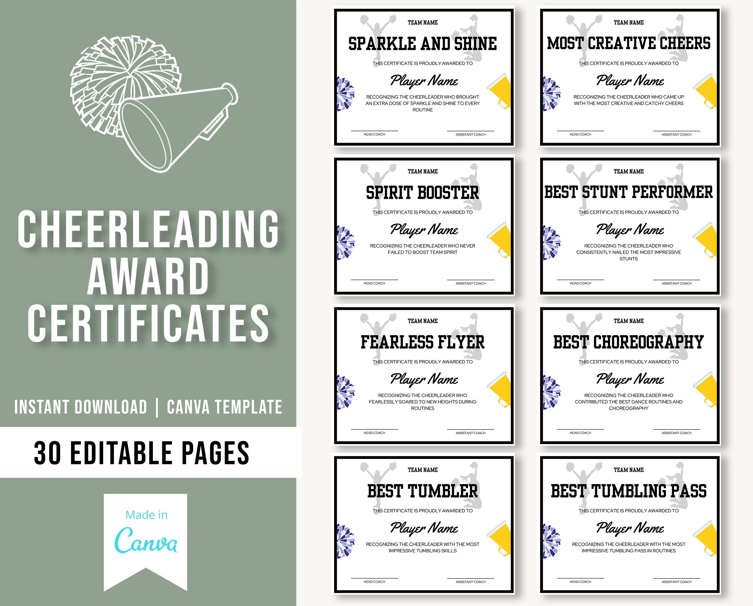 Editable Cheerleading Award Certificates | Cheerleading Team Awards ...