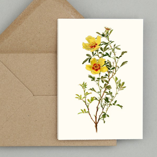 Yellow Rose Card - Etsy
