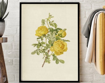 Botanical Rose Print - Etsy
