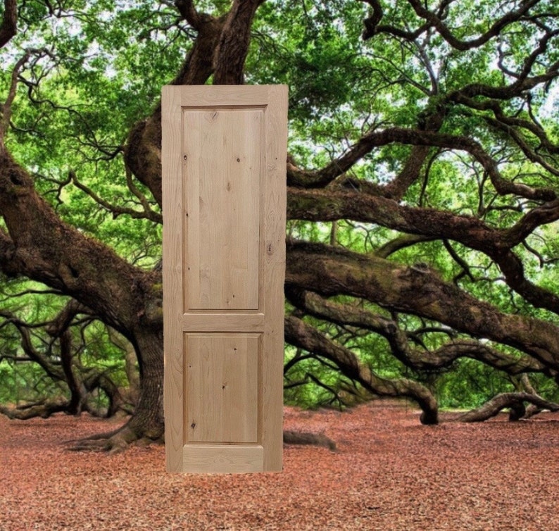 Solid Alder Two Panel Door - Etsy